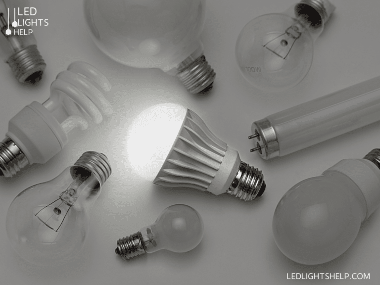A Guide to Light Bulb Sizes in 2024