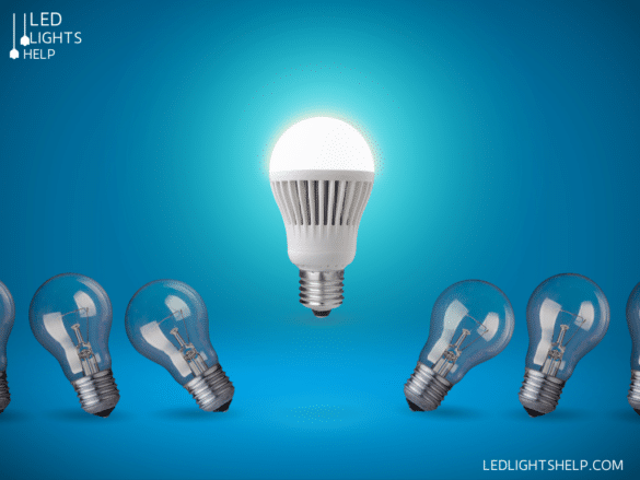 A Guide to Light Bulb Sizes in 2024